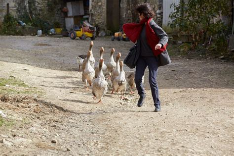 Il Medico Di Campagna Cinequanon
