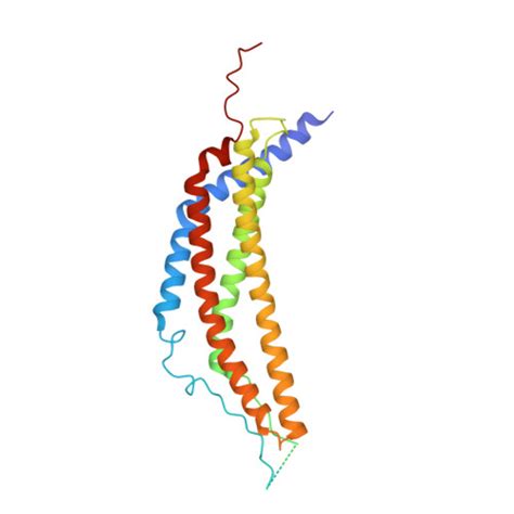 RCSB PDB - 7NAP: Human PA28-20S-PA28 proteasome complex