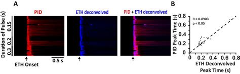 Peak Times Of The Deconvolved Ethanol Signals Coincide With The Peak