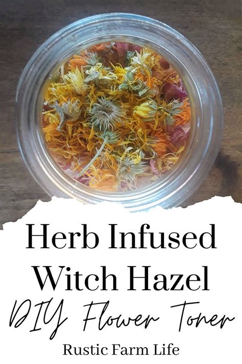 Get To Know Herbal Actions With A Printable Glossary Artofit