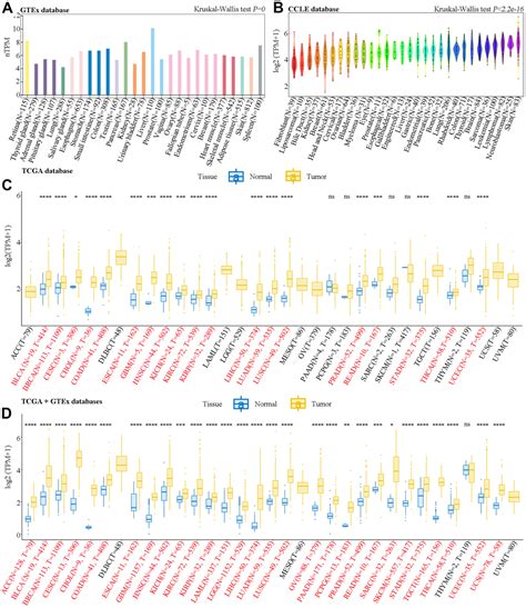 Saal1 A Novel Oncogene Is Associated With Prognosis And Immunotherapy