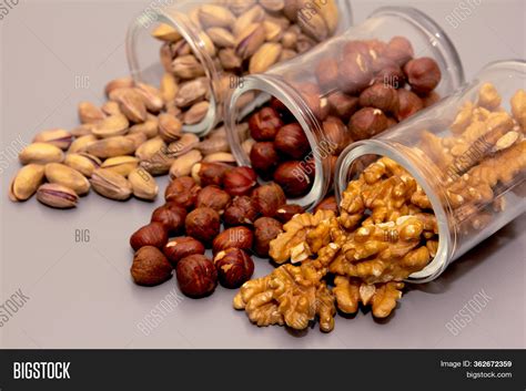 Hazelnut Walnut Image And Photo Free Trial Bigstock