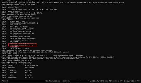 what is the right way to perform inference process using int8 quantized
