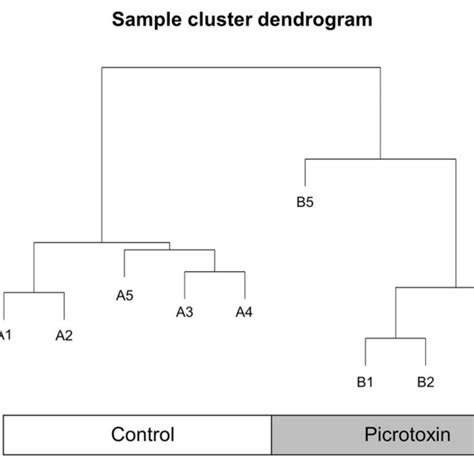 Sample Cluster Dendrogram Hierarchical Clustering Of Samples Of