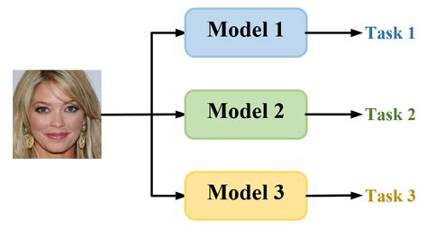 multi task learning for fatigue detection and face recognition of
