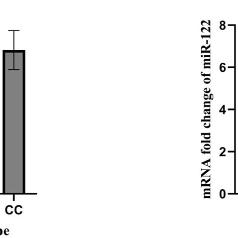 Comparison Of Mir 122 Gene Expression Levels Between Different