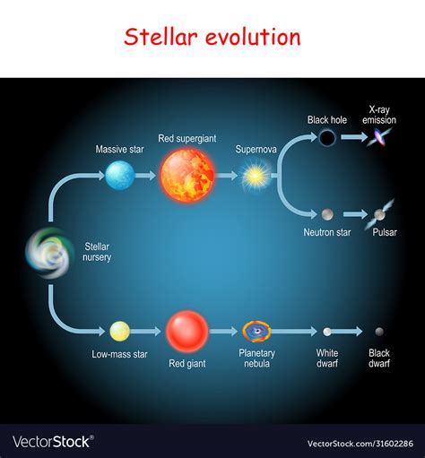 Life Cycle Of A Star Worksheet Answers Printable Calendars At A Glance