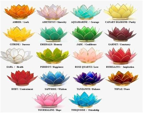 Lotus Lotus Flower Color Meaning Lotus Flower Colors Color Meanings