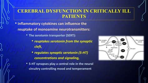 Cerebral Dysfunction21 Ppt