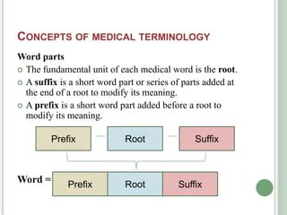Presentation Medical Terminology Prefix Suffix Pptx