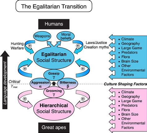 Factors Underlying The Egalitarian Transition As Language Develops In
