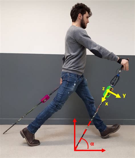 Accelerometer Reference Frame Orientation Download Scientific Diagram