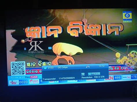 DDF Exclusive DD Bangla DD Punjabi DD Chandana DD Girnar DD Odia