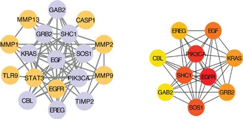 Ppi Network And Module Analysis Network A Left Normal Group Common