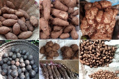 An Introduction To Different Types Of Yams