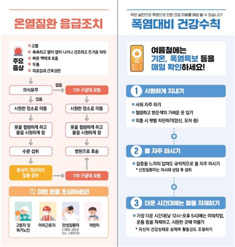 노컷뉴스