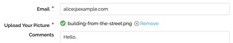 Web Form Example