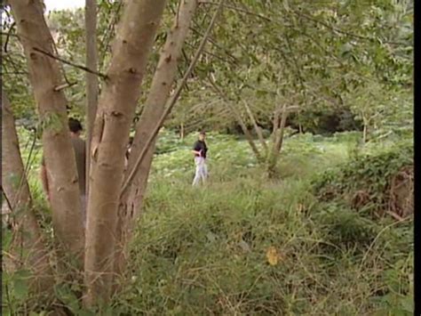 Private Sex Survivor The 2002 Adult Dvd Empire