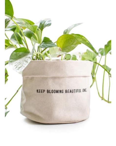 Large Canvas Planter Trader Ricks For The Artful Woman