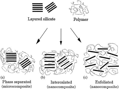 Morphologies Of Polymer Layered Silicate Nanocomposites Adapted From Download Scientific