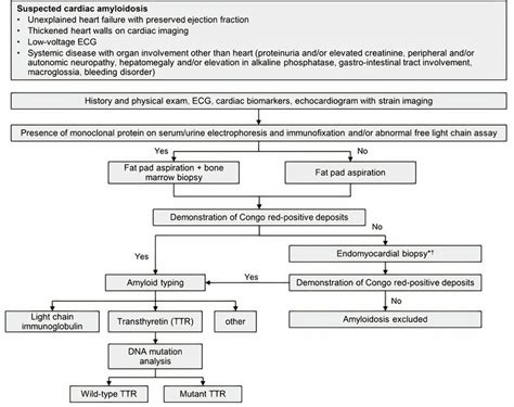 Diagnostic Algorithm For Suspected Cardiac Amyloidosis Adopted From Download Scientific