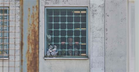 Pestarono Un Detenuto Nel Carcere Di Reggio Emilia Condannati 10