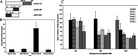The Dna Binding Domains Of Nkx31 And Sp Proteins Form Complexes In