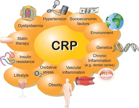 What Is Crp C Reactive Protein Test