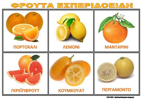 Το νέο νηπιαγωγείο που ονειρεύομαι Τα εσπεριδοειδή φρούτα Πίνακες