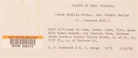 Specimen Barcode And Labeling Guide Idigbio