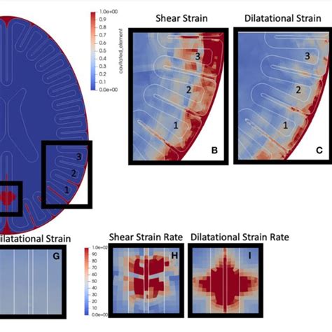 Vascular Simulation Results At 25 Ms A Cross Section Of Vascular