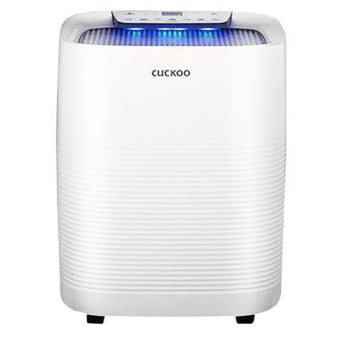 C Model Cuckoo Brunei