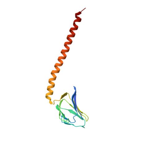 Rcsb Pdb 7xkh Nucleotide Depleted F1 Domain Of Fof1 Atpase From