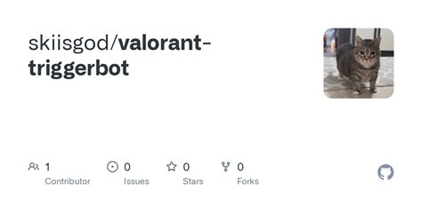 github skiisgod valorant triggerbot