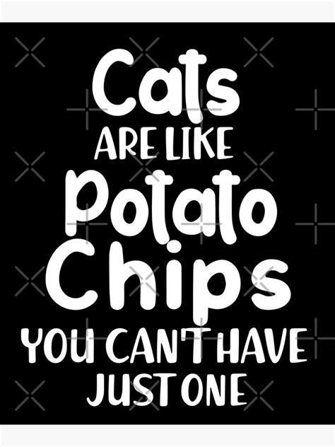 Póster Los gatos son como papas fritas No puedes tener solo uno de