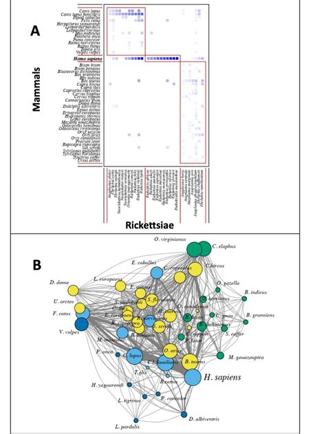 Composite Panels Of Modules Identified Using A Bipartite Network And