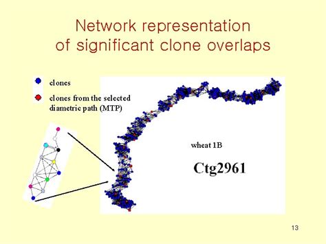 structural genomics includes the genetic mapping physical mapping