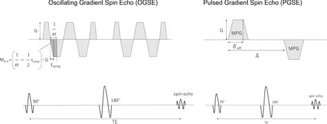 time dependent diffusion in brain abscesses investigated with