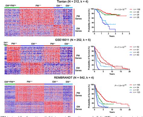 Figure 1 From A Glioma Classification Scheme Based On Coexpression Modules Of Egfr And Pdgfra