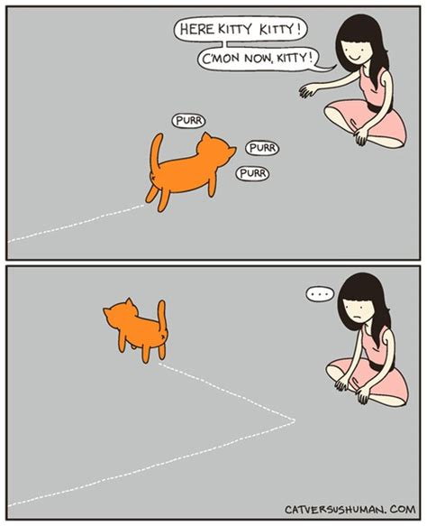Epic Nonsense Funny Memes