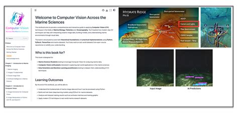 Bringing Computer Vision Into The Classroom Utilizing Rca Imagery And The Ooi Jupyter Hub