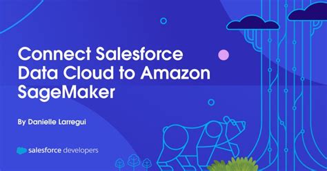 Sfdc Mindz On Linkedin Connect Salesforce Data Cloud To Amazon Sagemaker