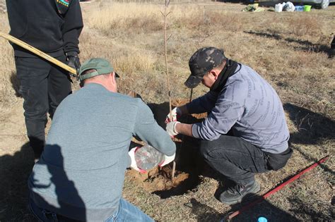 Монгол Улсын Гэрч хохирогчийг хамгаалах хэлтэс Facebook