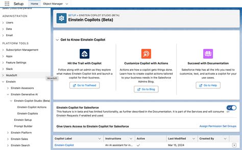 Access For Salesforce Einstein Copilot Apex Hours