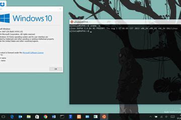 How To Run The Bash Command Line In Windows