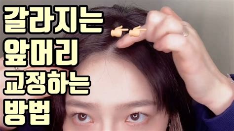 갈라지는 앞머리 간단하게 해결하는 방법교정하는방법드라이하는방법 Youtube