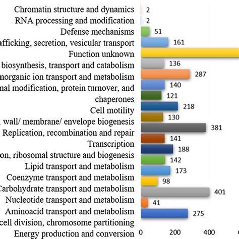 cluster of orthologous gene cog classification using eggnog