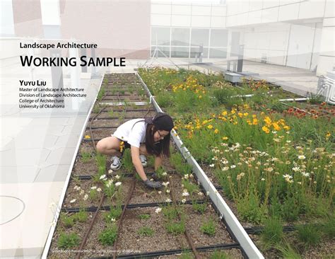Yuyu Liu Landscape Architecture Work Sample By Yuyu Liu Issuu