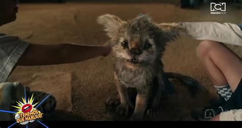 Chupa” Disponible En Netflix A Partir Del 7 De Abril