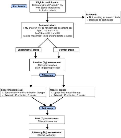 Does Somatosensory Discrimination Therapy Alter Sensorimotor Upper Limb Belinda Mclean